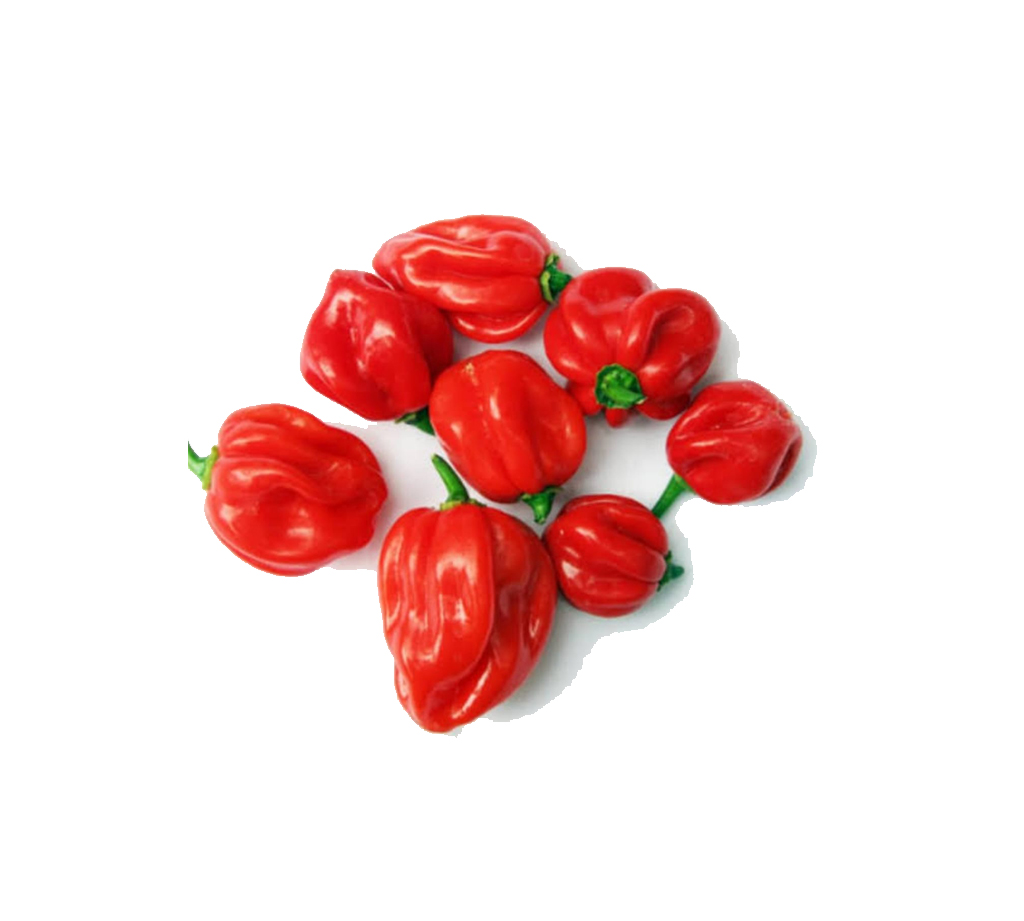 Fresh Pepper Ata rodo – Acor Farmstead